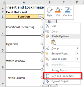 Insert or Lock Image or Picture In Cell in Excel - Excel Unlocked