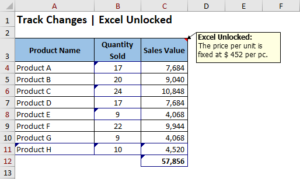Track Changes in Excel - Enable, Use, and Disable - Excel Unlocked