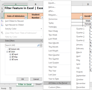 Filter in Excel - Add, Apply, Copy, Clear, and Many More - Excel Unlocked