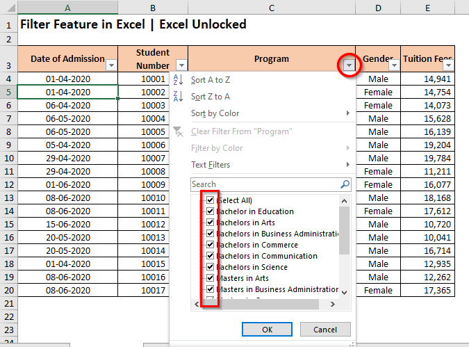 What Is Filtering In Excel