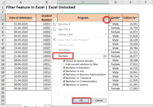 Filter in Excel - Add, Apply, Copy, Clear, and Many More - Excel Unlocked