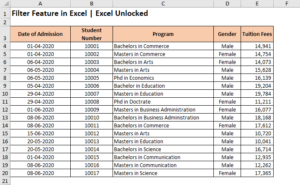 Filter in Excel - Add, Apply, Copy, Clear, and Many More - Excel Unlocked