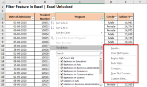 Filter in Excel - Add, Apply, Copy, Clear, and Many More - Excel Unlocked